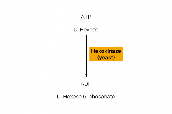 Hexokinase yeast Enzyme | Megazyme