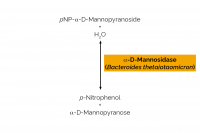 alpha-D-Mannosidase Bacteroides thetaiotaomicron Enzyme | Megazyme