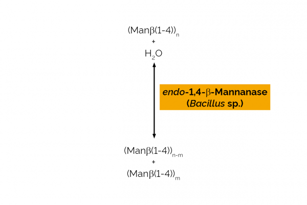 endo-1-4 beta-Mannanase Bacillus sp Enzyme B-Mannanase | Megazyme