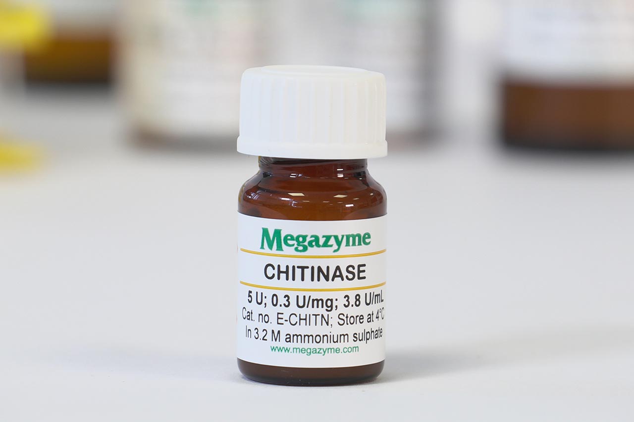 Chitinase Clostridium thermocellum | Megazyme