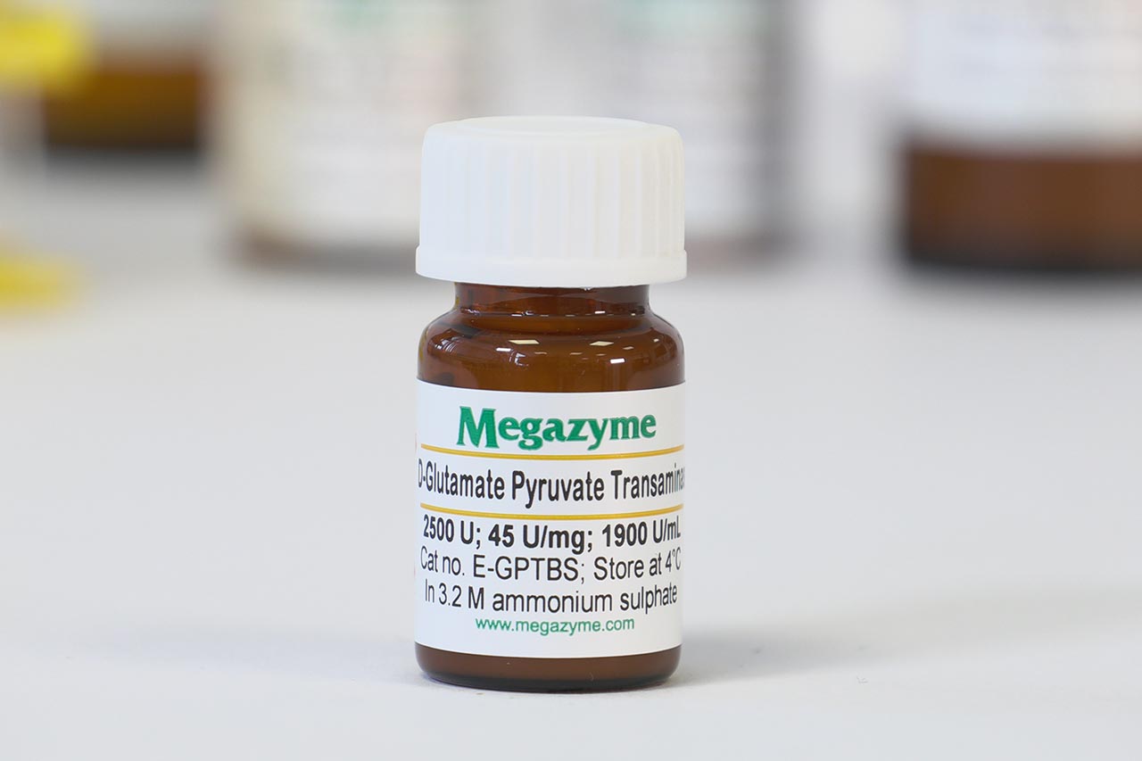D-Glutamic-pyruvic transaminase Bacillus subtilis Enzyme | Megazyme