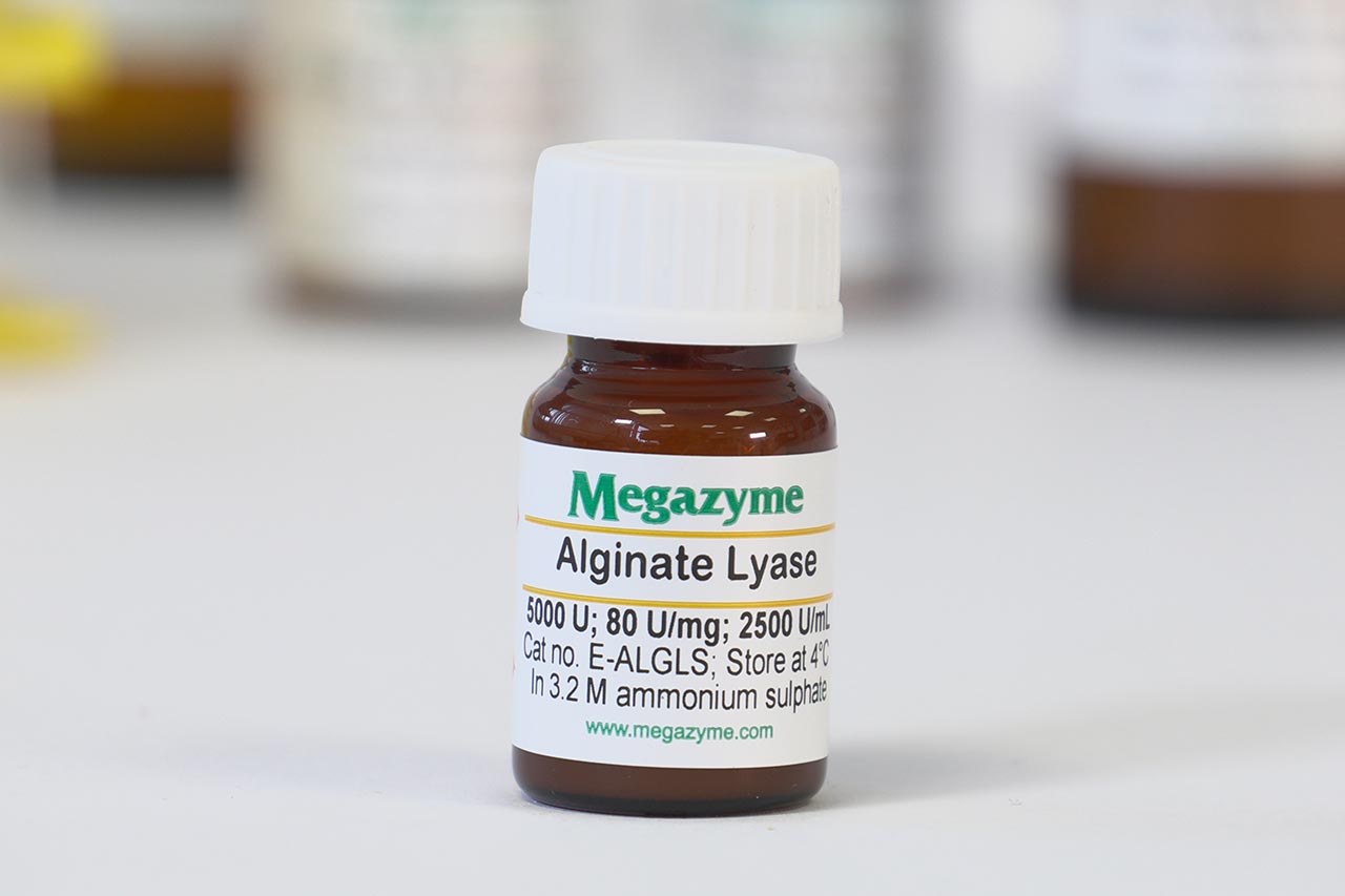 Alginate lyase Sphingomonas sp Enzyme | Megazyme