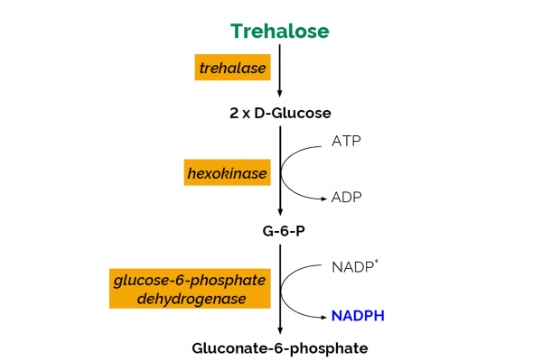 Trehalose Assay Kit - Measurement of Trehalose | Megazyme