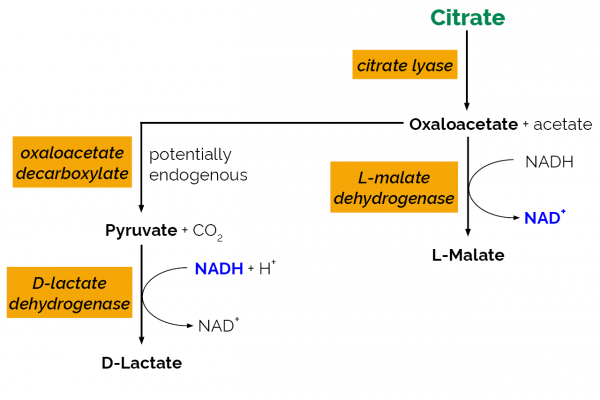 Citric Acid Assay Kit - Buy Citric Acid for analysis in food | Megazyme