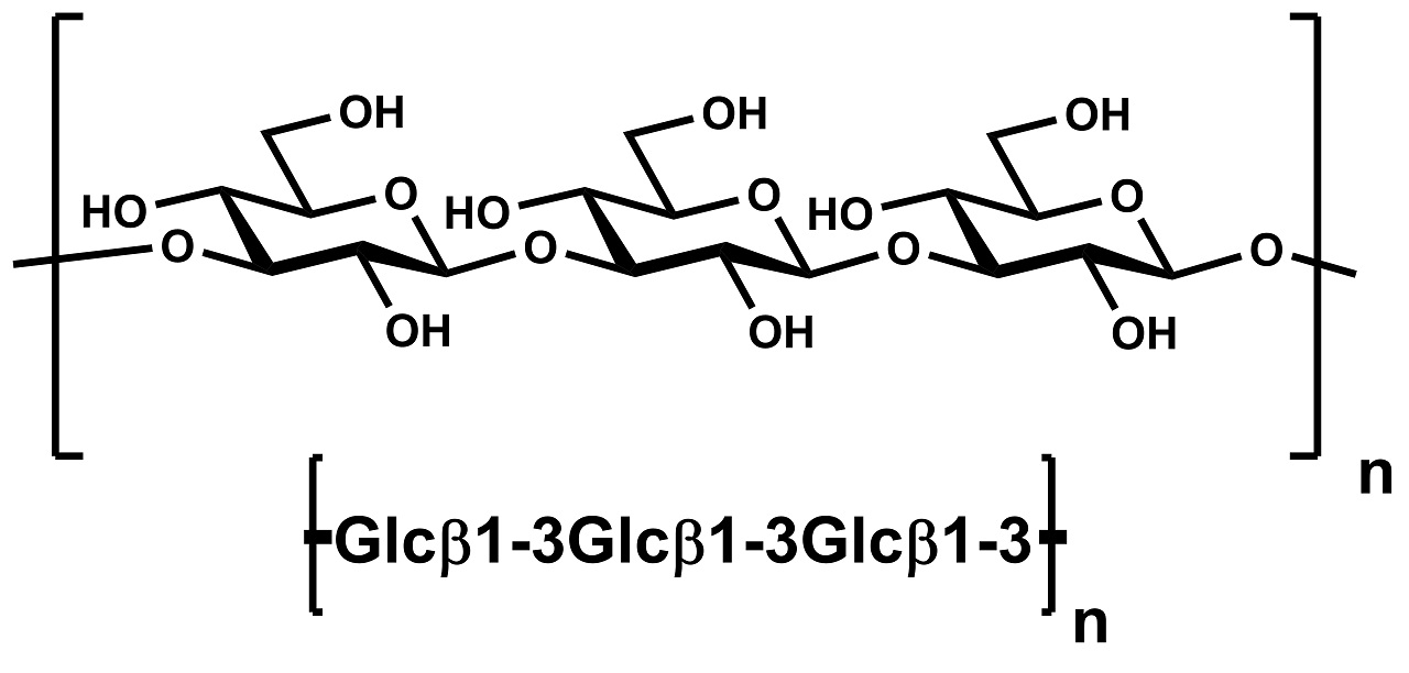 Curdlan Polysaccharides | Megazyme