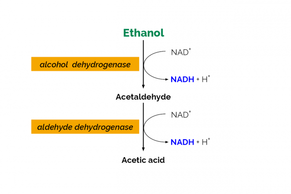 Ethanol Assay Kit Buy for the measurement of ethanol | Megazyme
