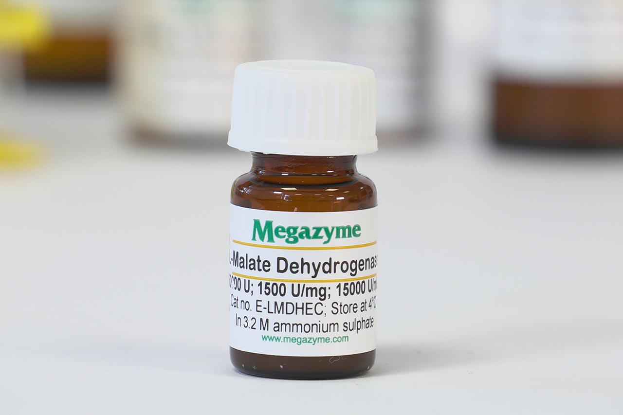 L-Malate dehydrogenase Escherichia coli Enzyme | Megazyme