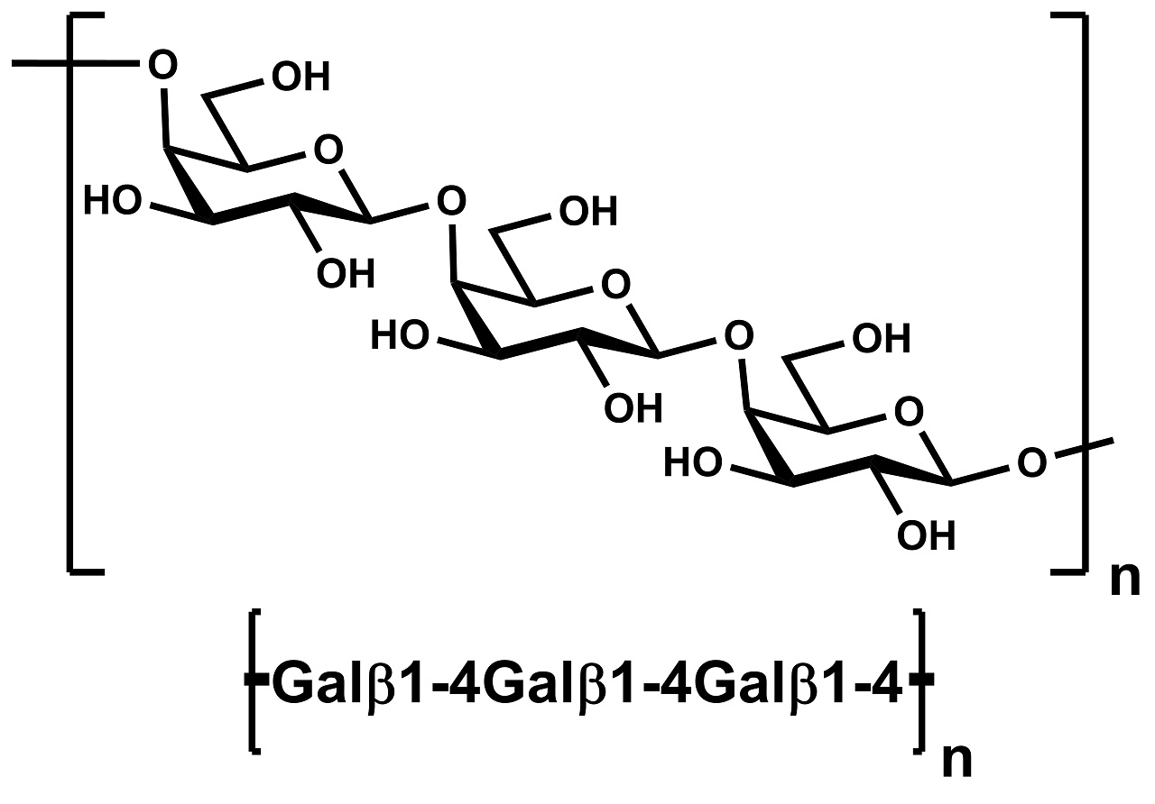 Galactan Potato Polysaccharides | Megazyme