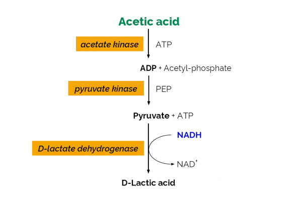 Acetic Acid Assay Kit Acetate Kinase Analyser Format | Megazyme