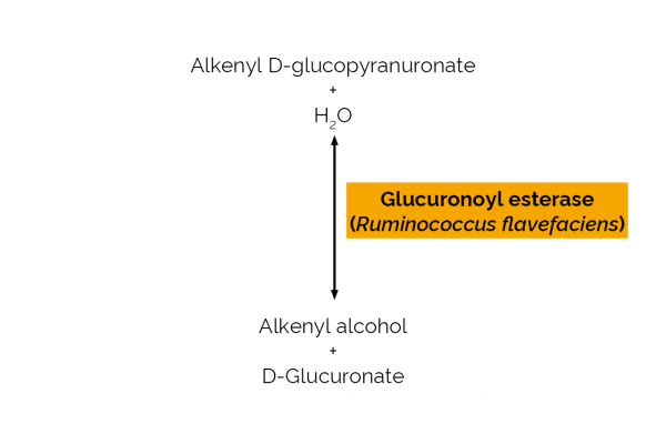 Glucuronoyl Esterase Ruminococcus flavefaciens Enzyme | Megazyme